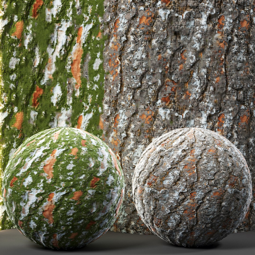 Tree Bark Vol 2 - 4K PBR Tileable 4 Variations 3D Model - TurboSquid ...