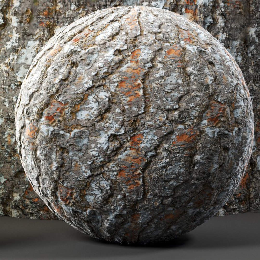 Tree Bark Vol 2 - 4K PBR Tileable 4 Variations 3D Model - TurboSquid ...