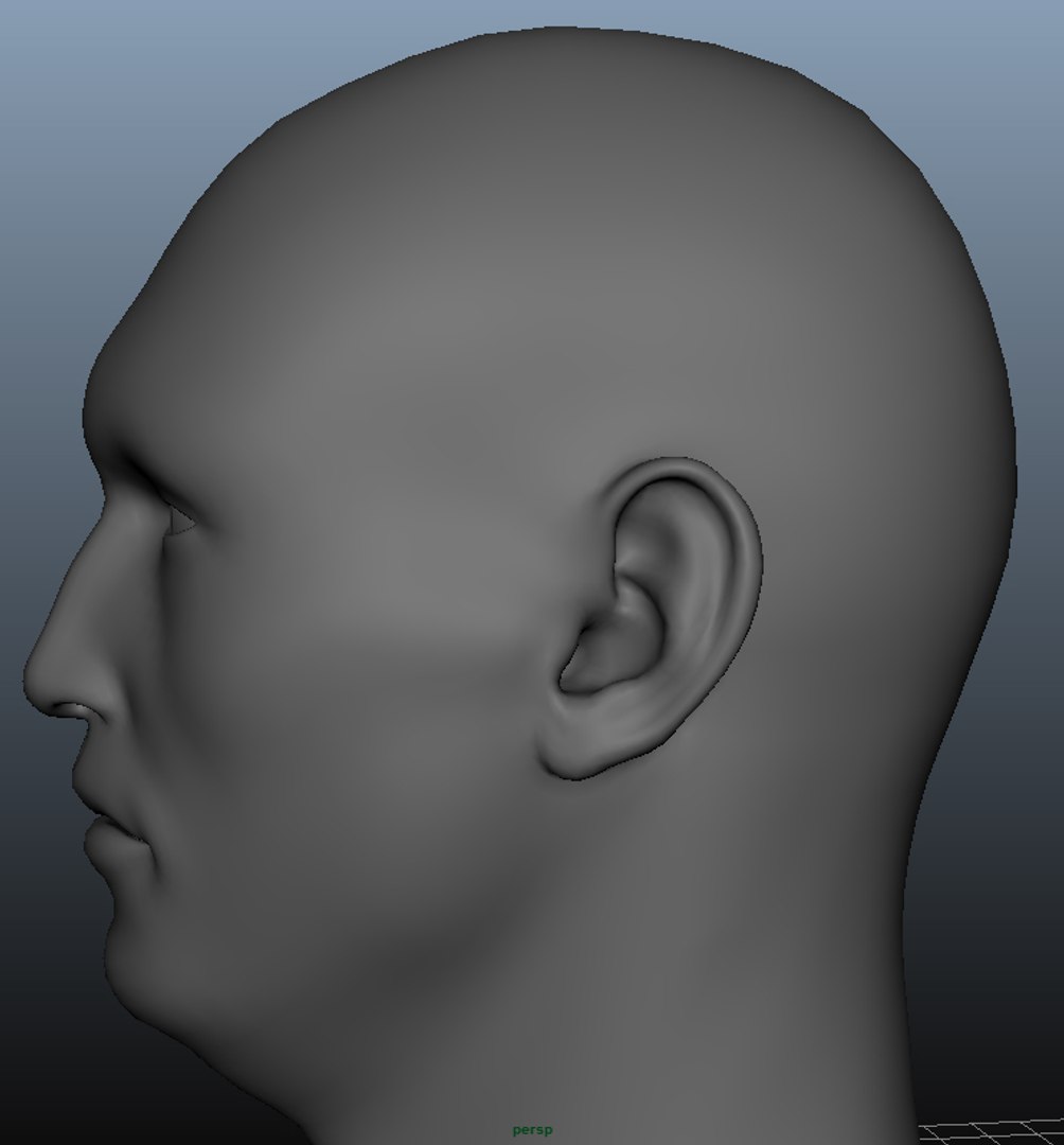 Uv Head 3d Model