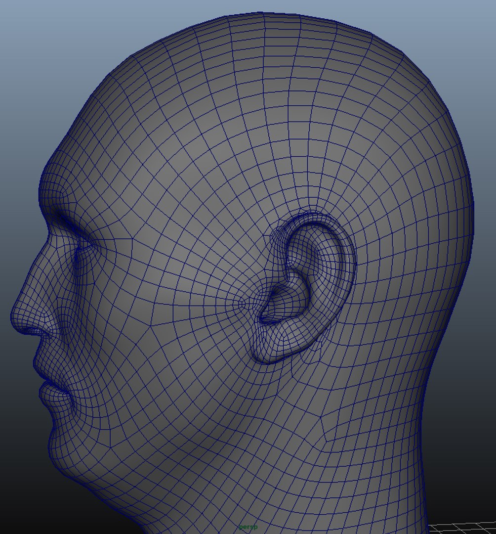 Uv Head 3d Model