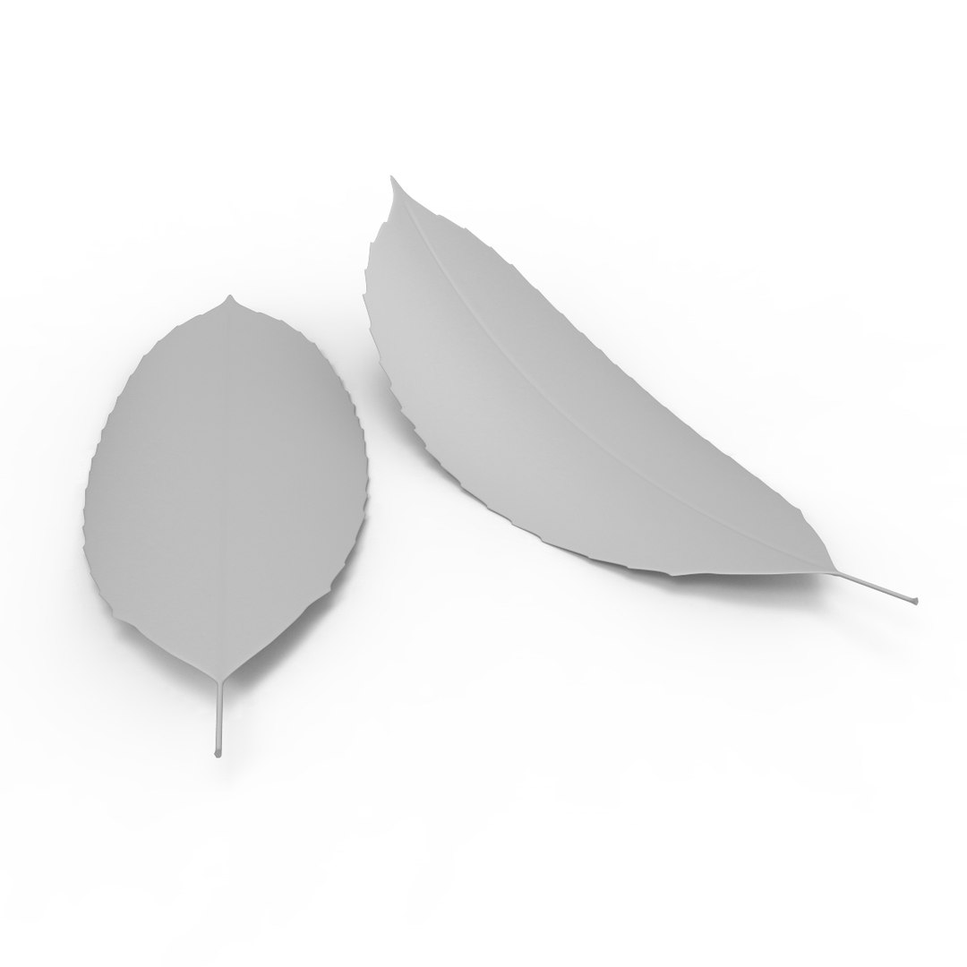 Tree Leaf 3d Model