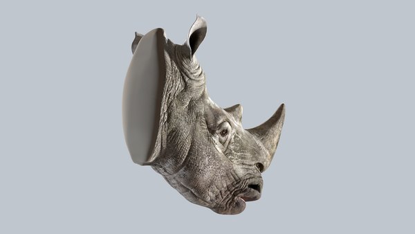 Rhino Head 3D - TurboSquid 1744632