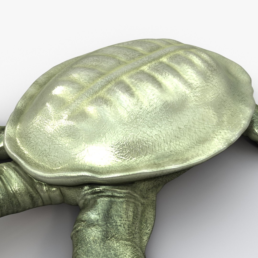 3ds Max Chinese Softshell Turtle