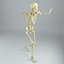 Human Male Skeleton Rigged 3D - TurboSquid 1217853