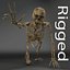Human Male Skeleton Rigged 3D - TurboSquid 1217853