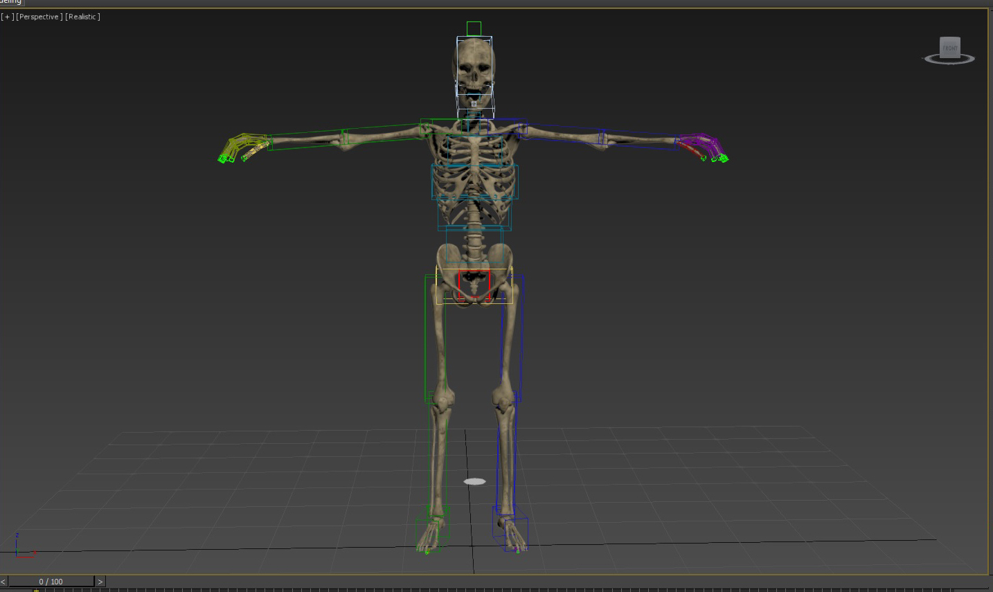 Human male skeleton rigged 3D - TurboSquid 1217853