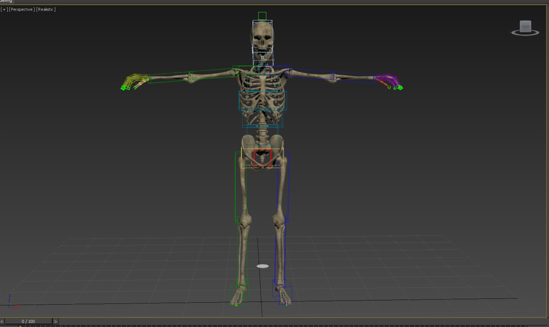Human male skeleton rigged 3D - TurboSquid 1217853