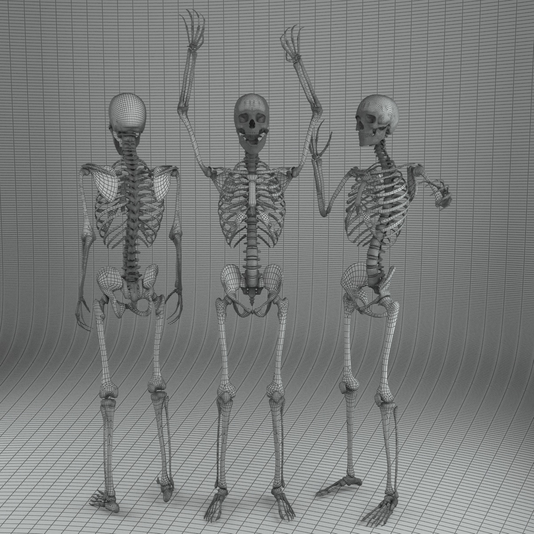 Human male skeleton rigged 3D - TurboSquid 1217853