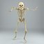 Human Male Skeleton Rigged 3D - TurboSquid 1217853