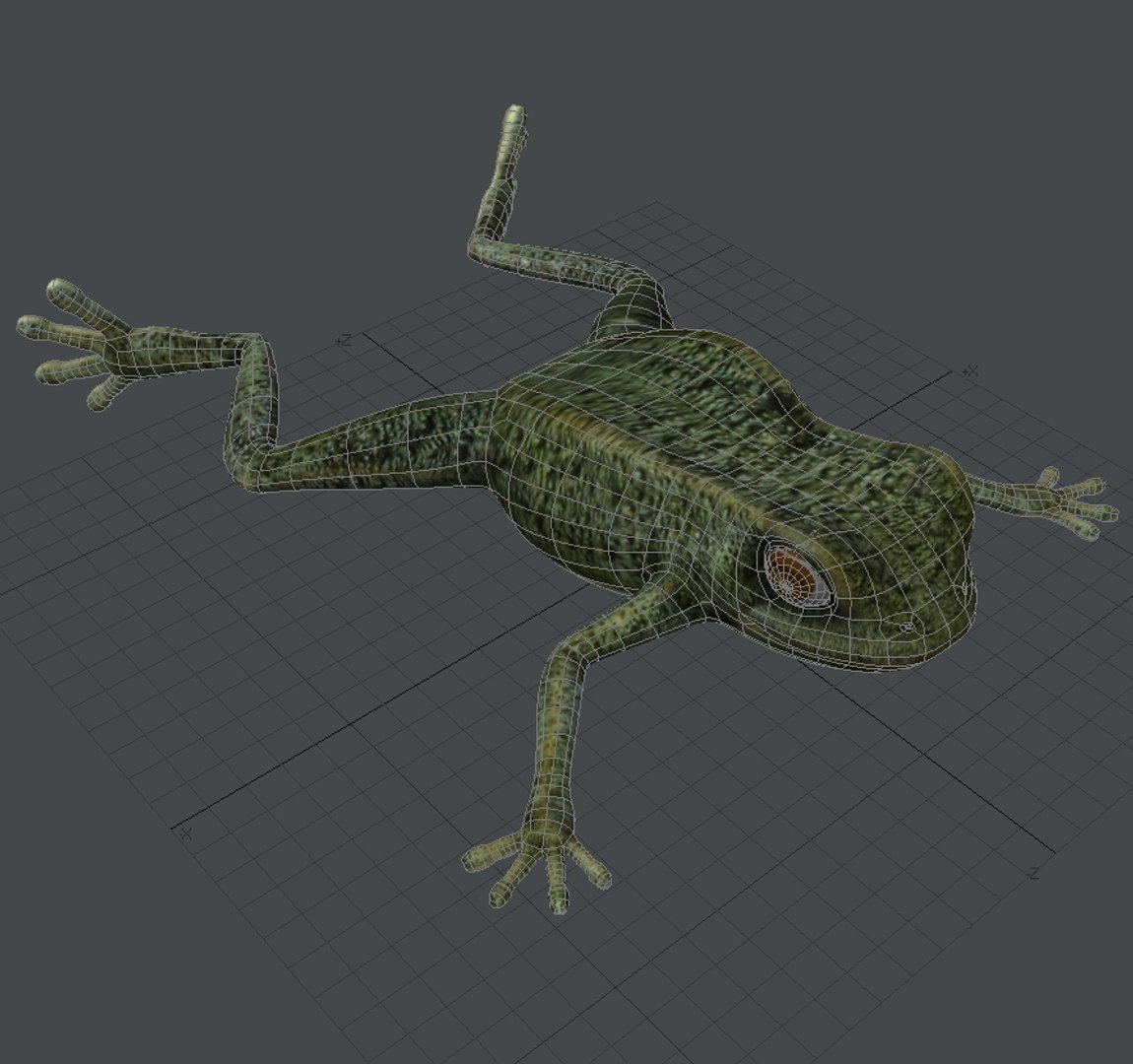 3d Model Green Frog