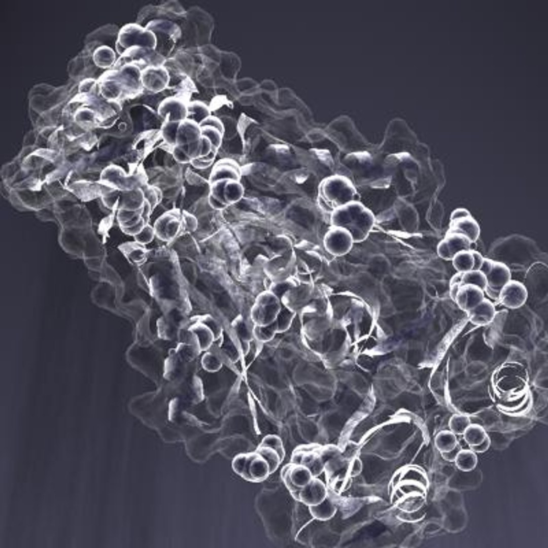 3d protein amyloid precursor alzheimer