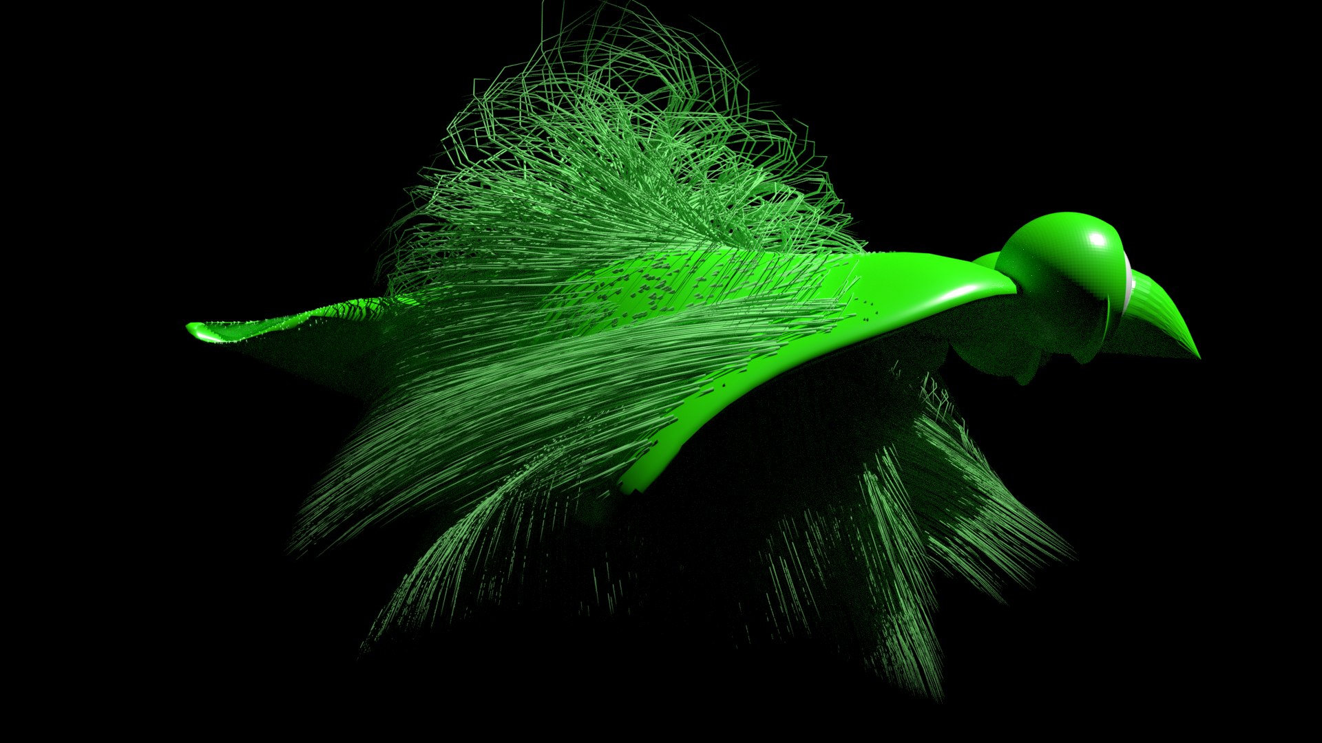 Bird Model - TurboSquid 1314253