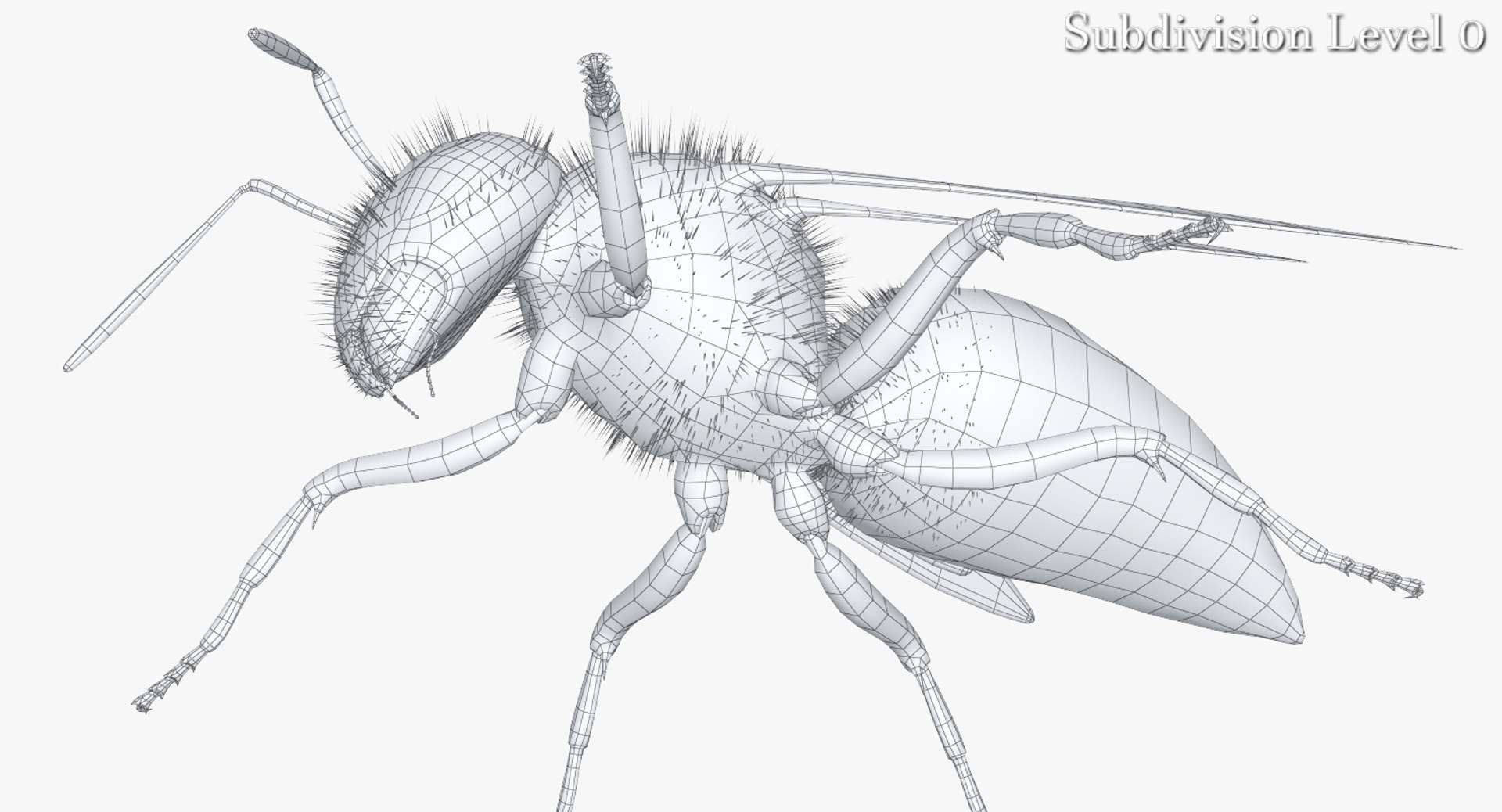 wasp modeled 3ds