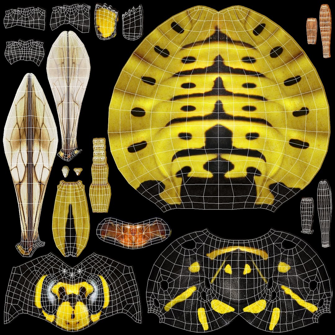 wasp modeled 3ds