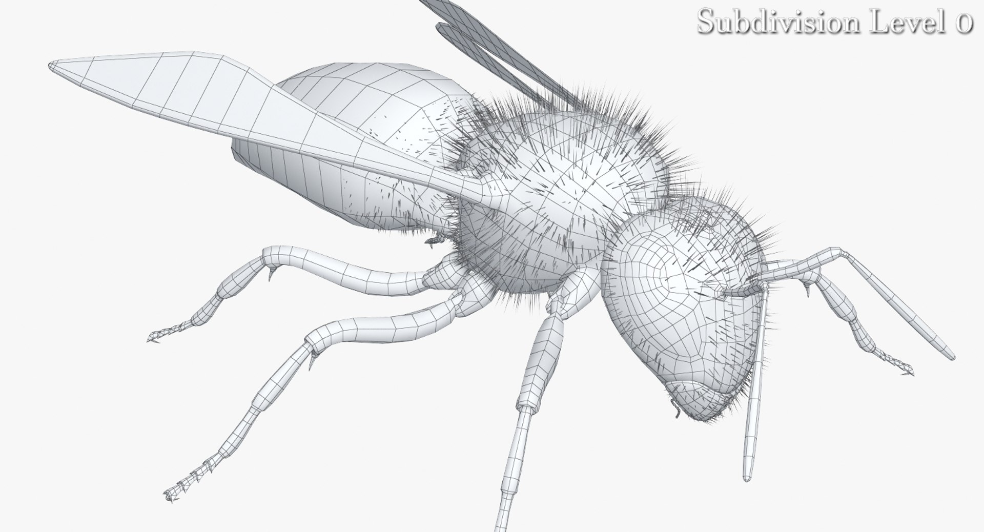 Wasp Modeled 3ds