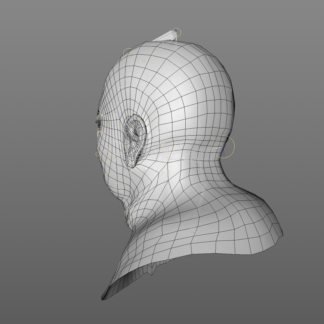 Realistic Head Base Mesh 3D Model - TurboSquid 1440269