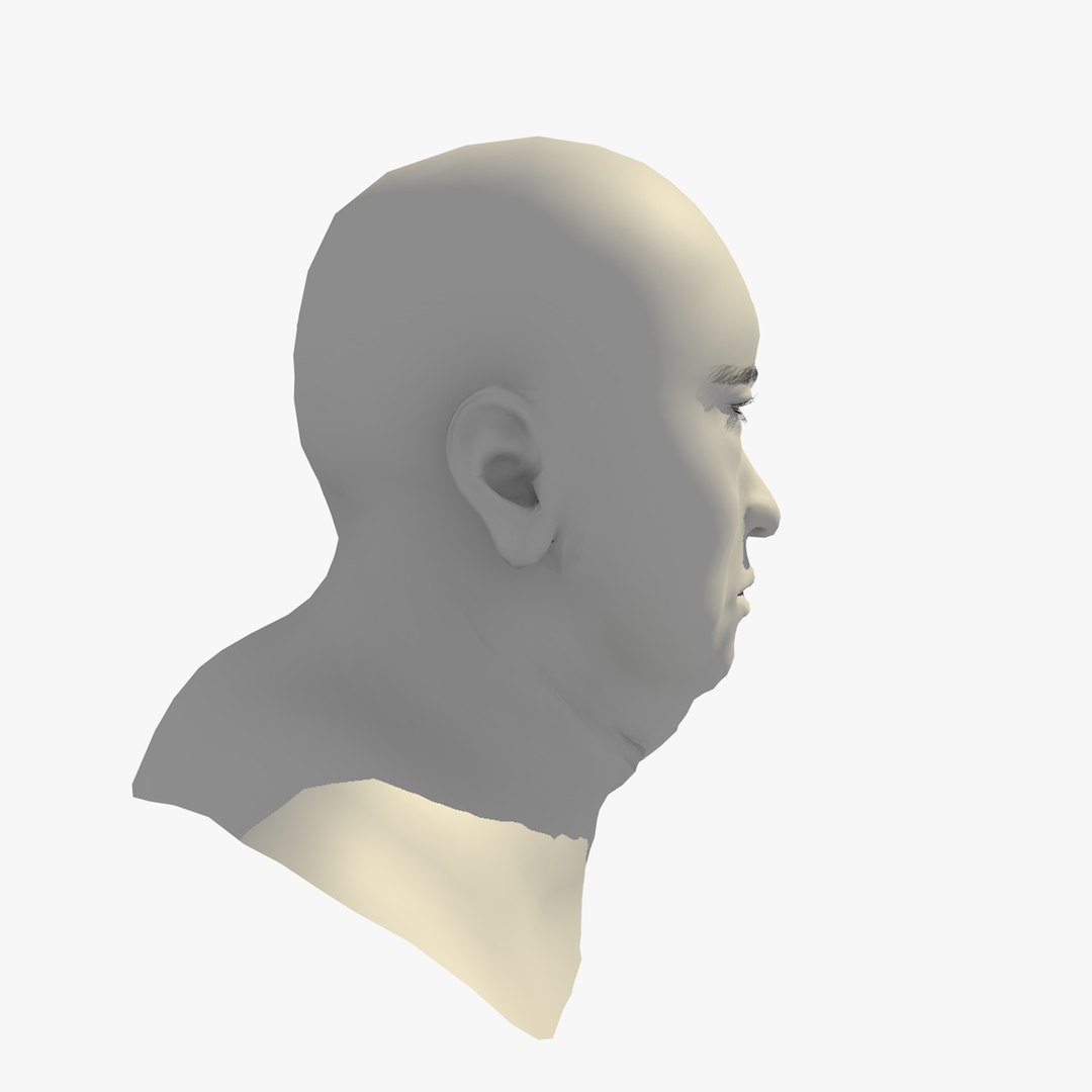 Realistic Head Base Mesh 3D Model - TurboSquid 1440269