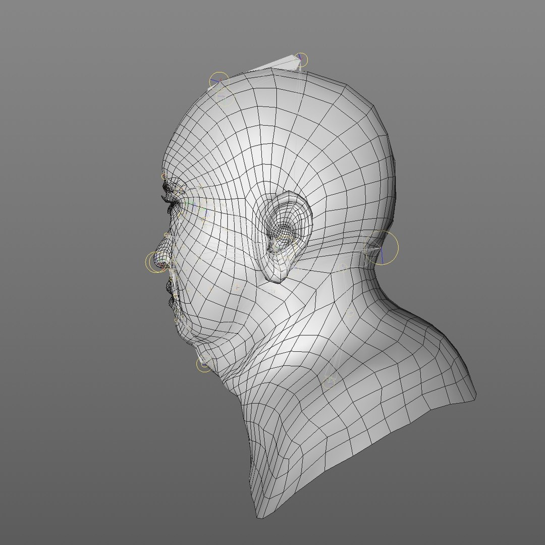 Realistic Head Base Mesh 3D Model - TurboSquid 1440269