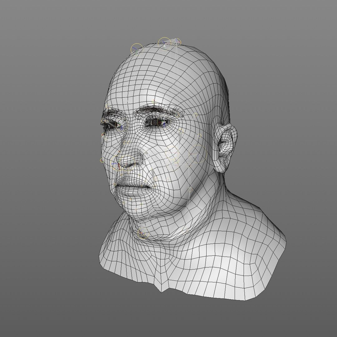 Realistic Head Base Mesh 3D Model - TurboSquid 1440269