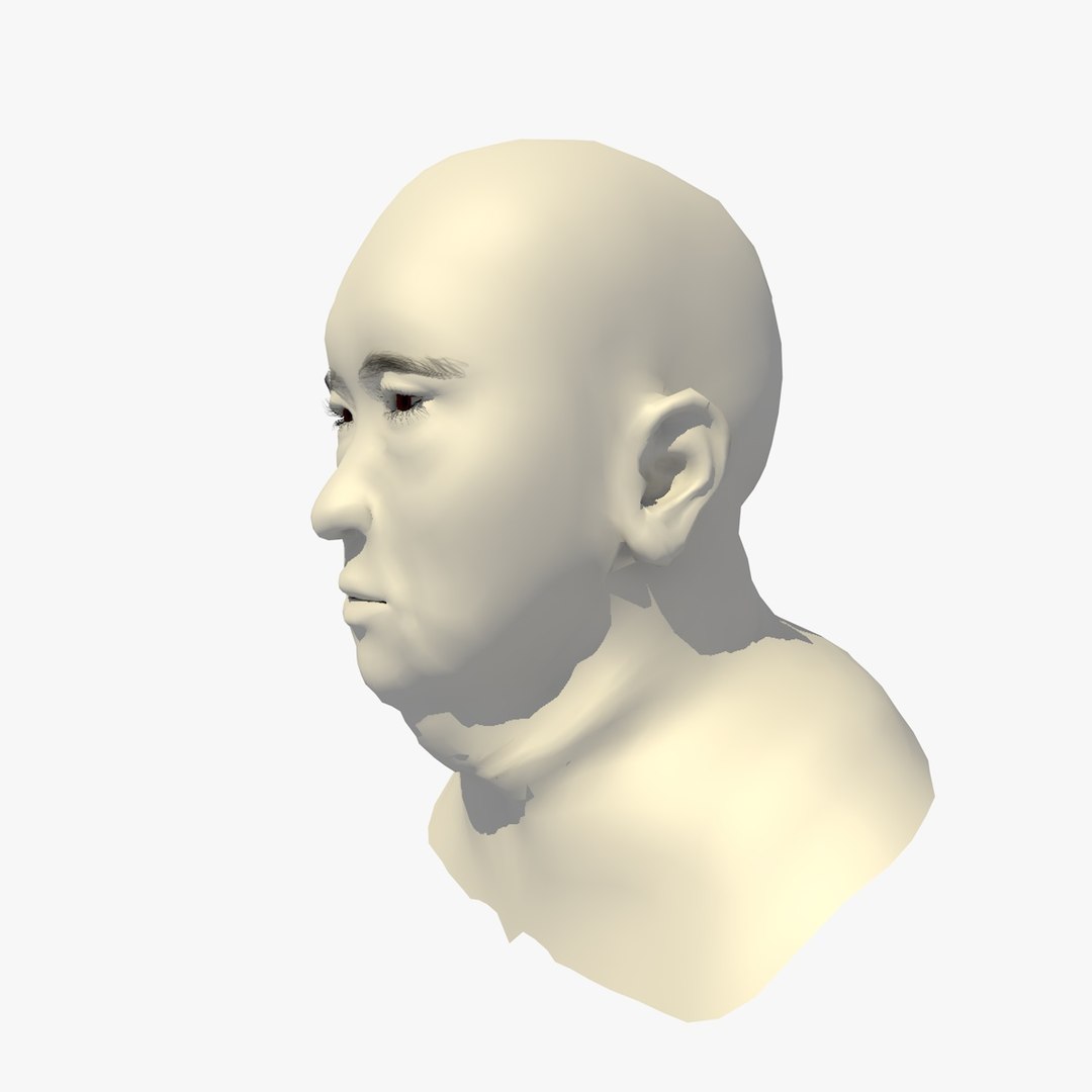 Realistic Head Base Mesh 3D Model - TurboSquid 1440269