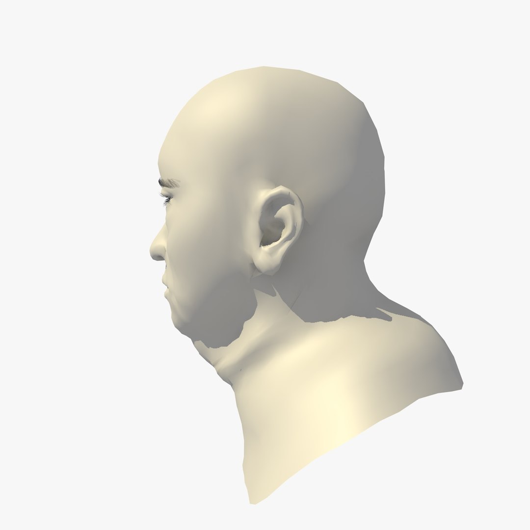 Realistic Head Base Mesh 3D Model - TurboSquid 1440269