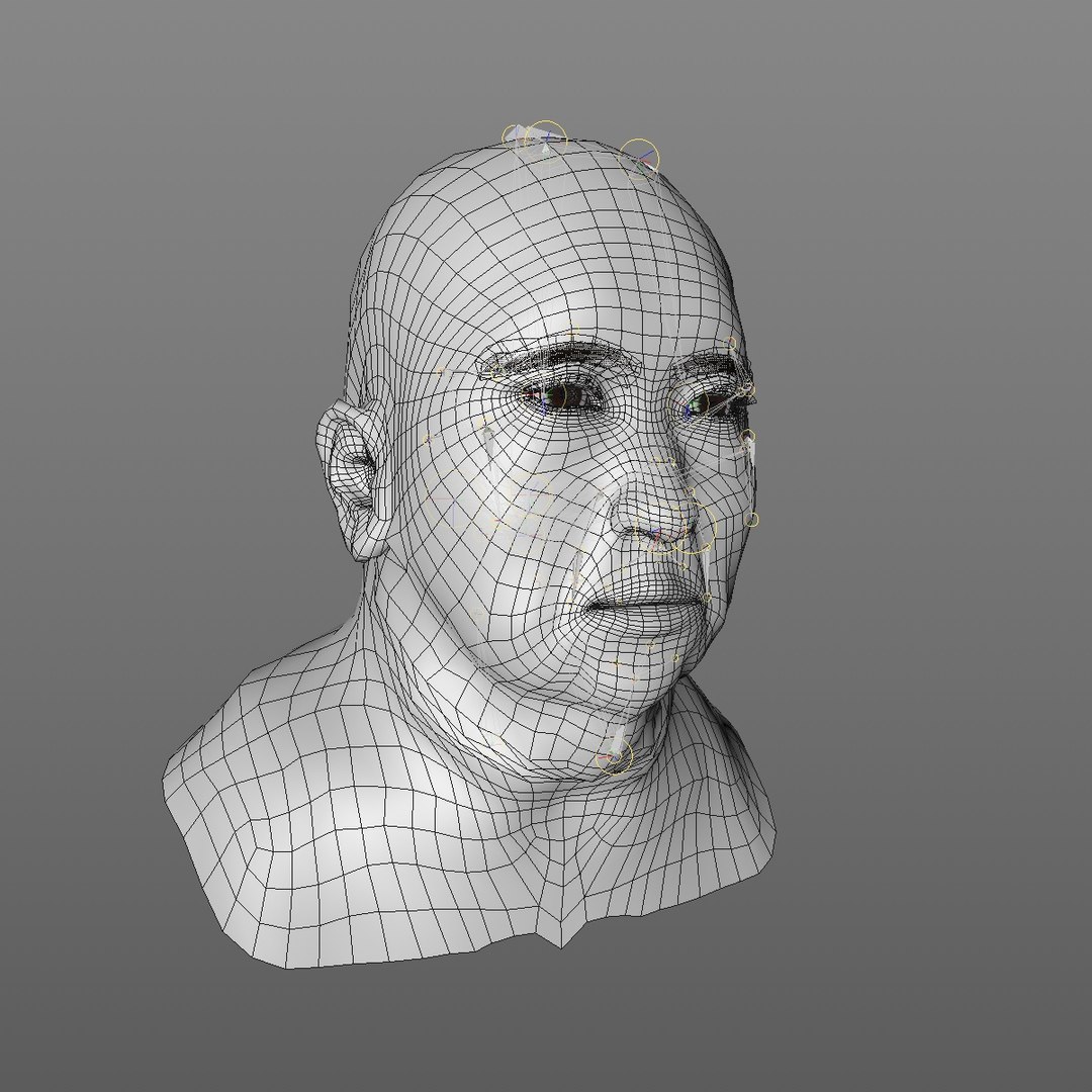 Realistic Head Base Mesh 3D Model - TurboSquid 1440269