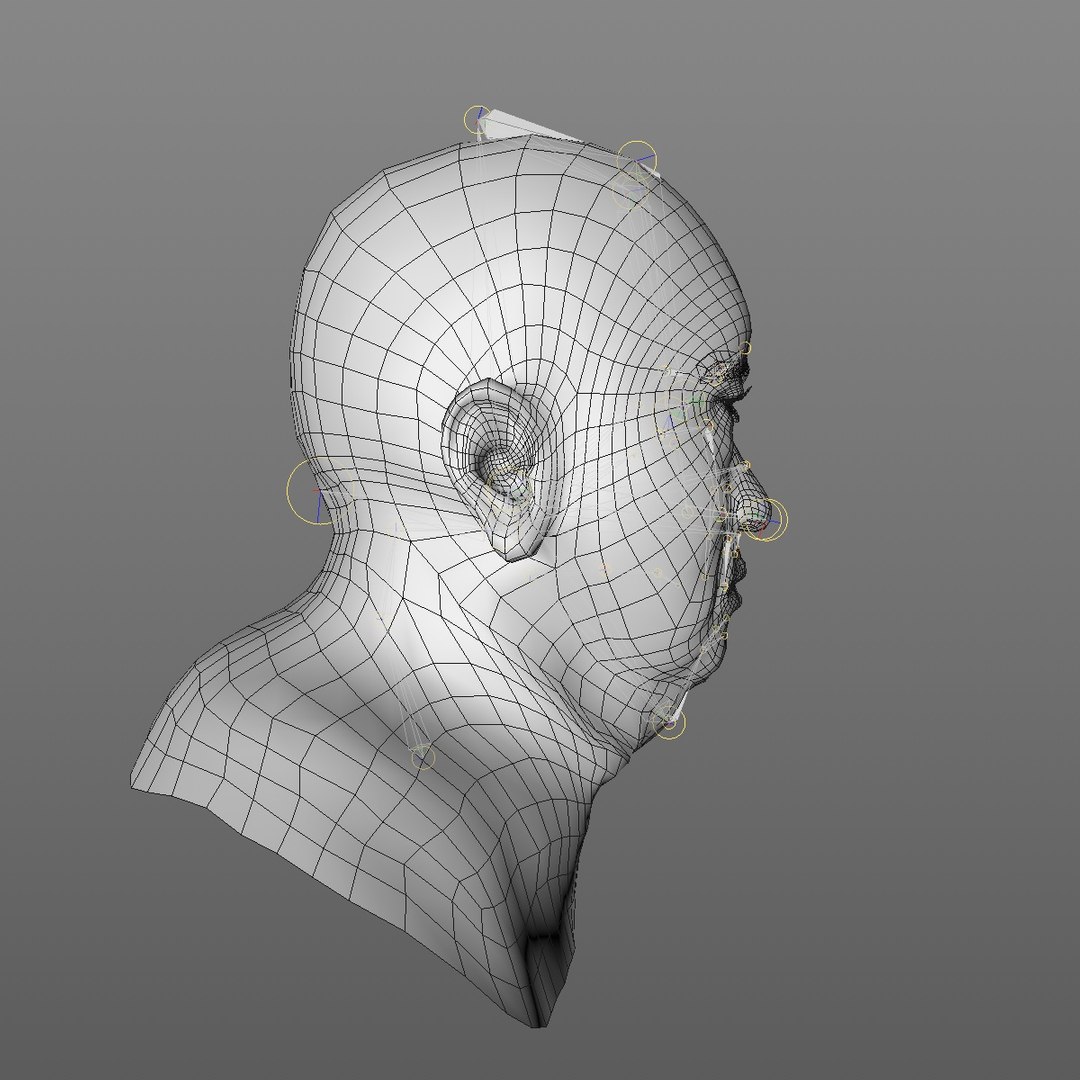 Realistic Head Base Mesh 3D Model - TurboSquid 1440269
