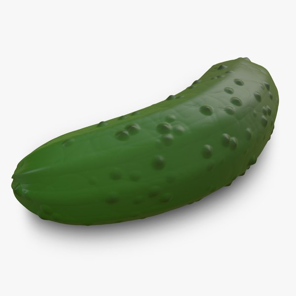 3D Pickle Models | TurboSquid