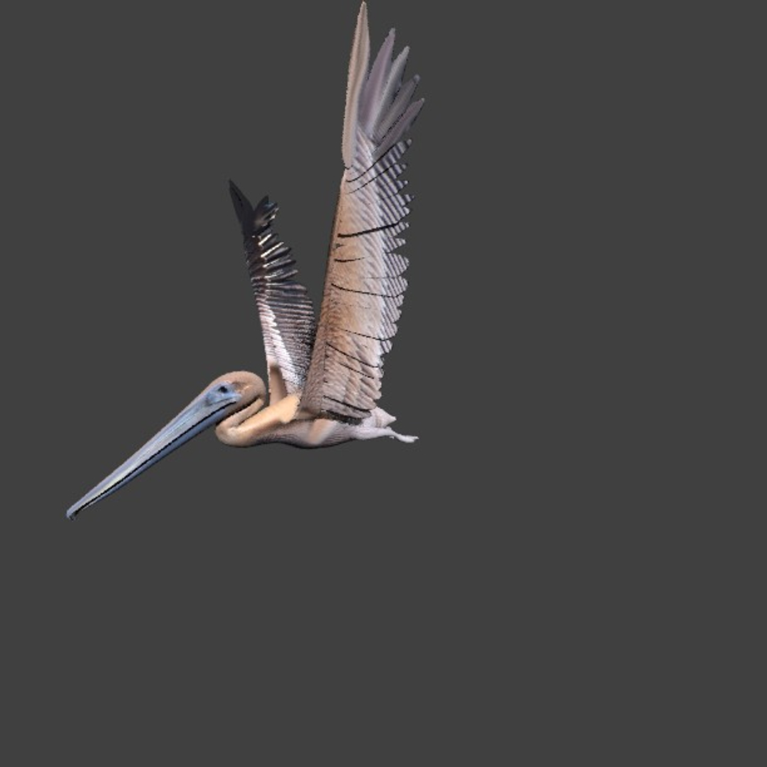 Pelican 3d 3ds