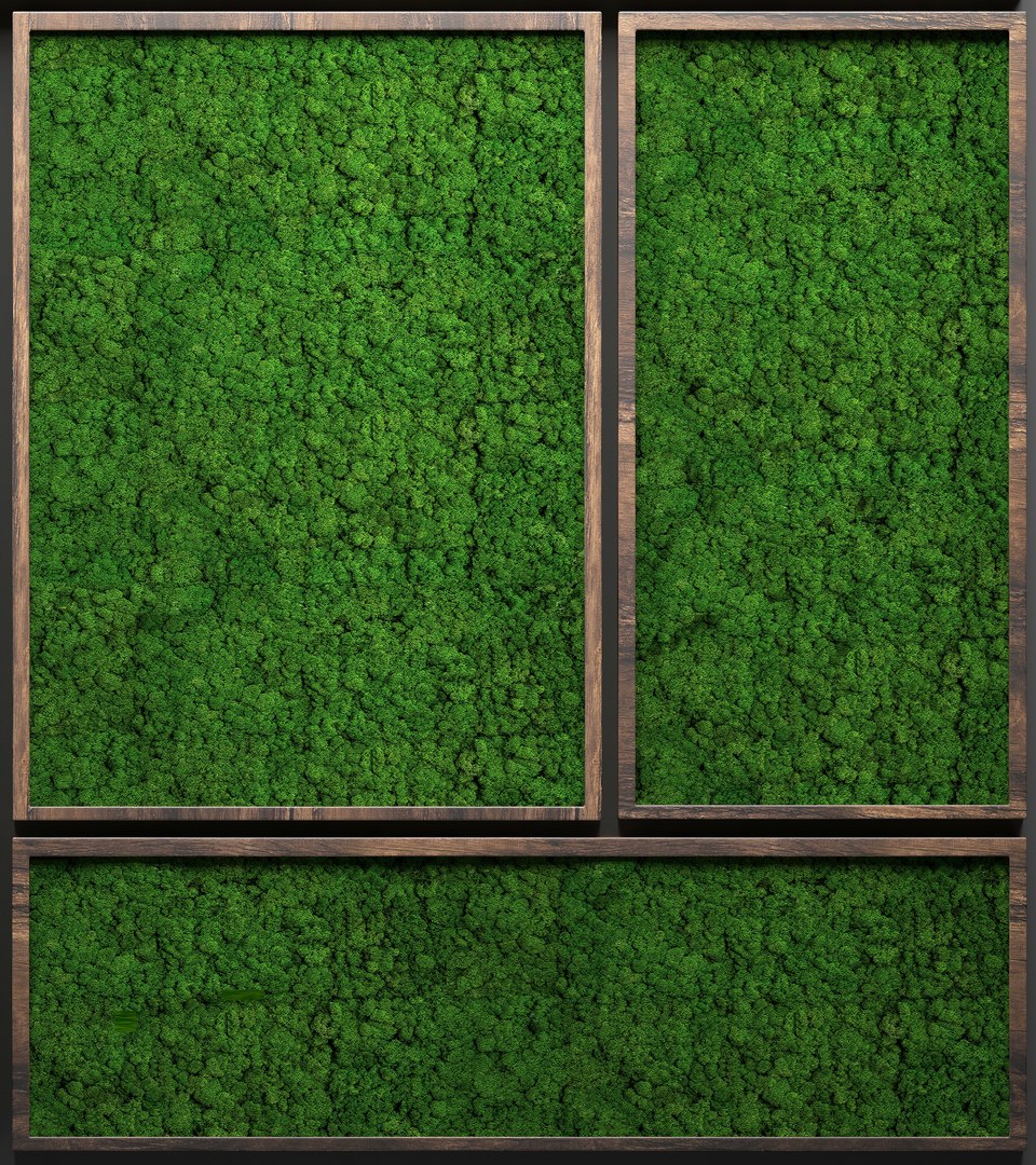 3D Stabilized Moss Model - TurboSquid 1322791