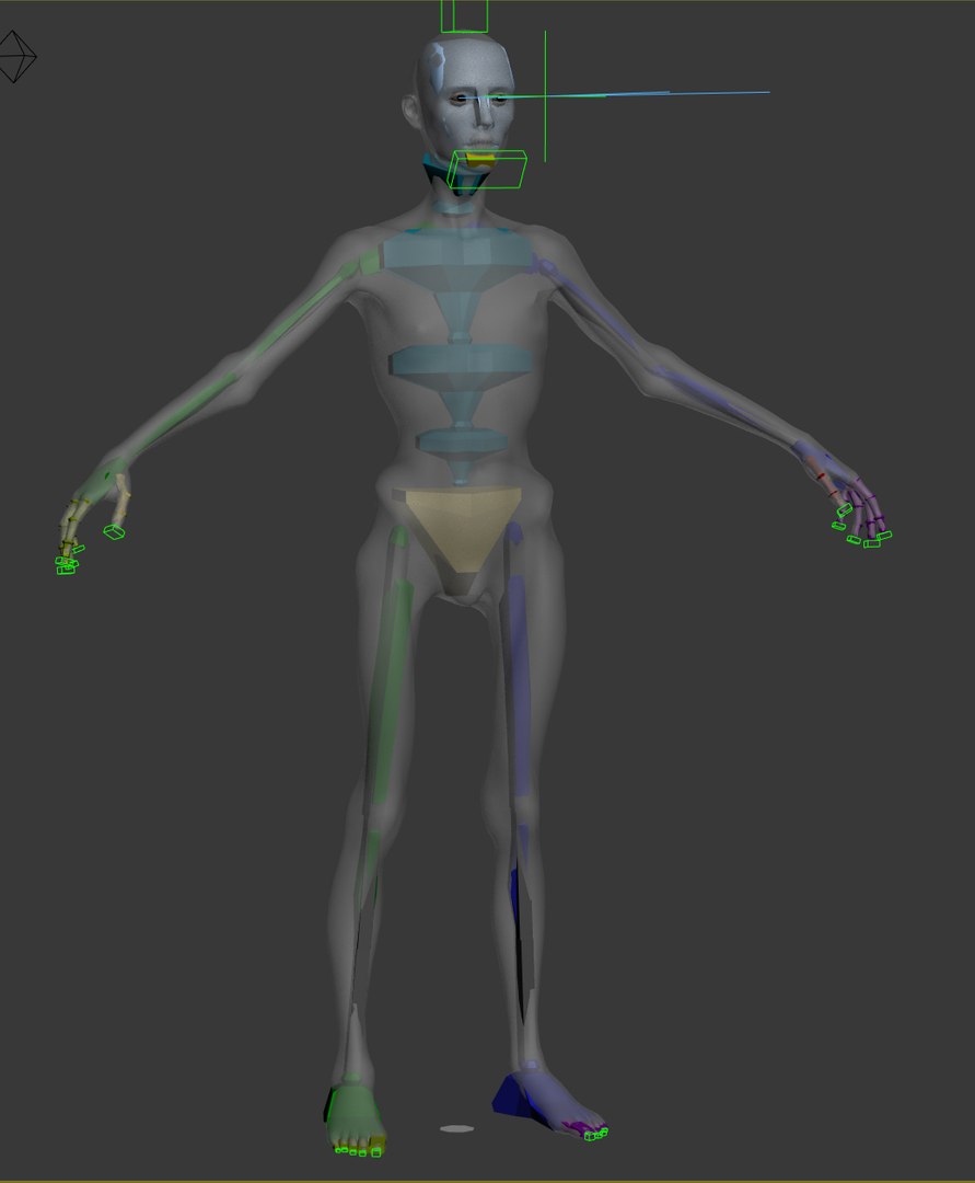 Rigging Face Animation Model - TurboSquid 1553800