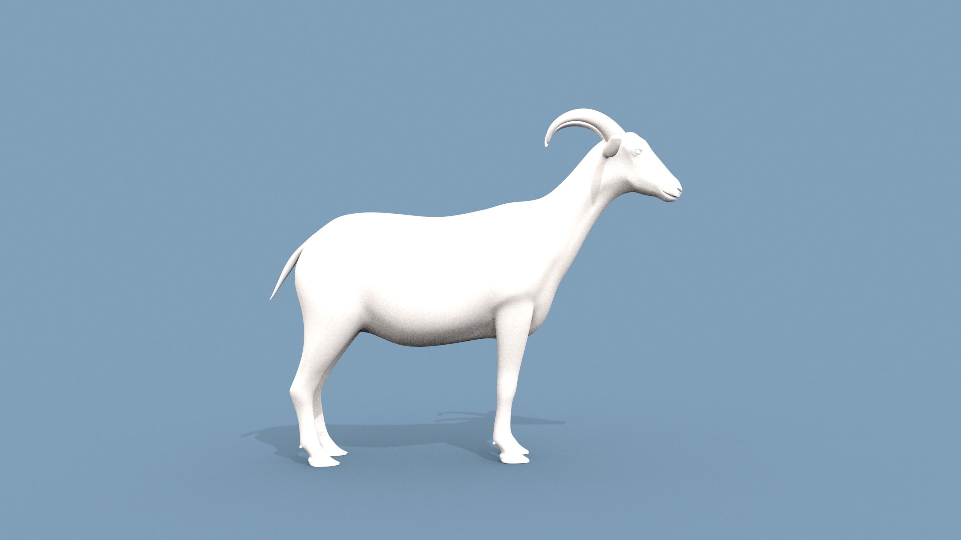 Goat Shape 3D Model - TurboSquid 2289803