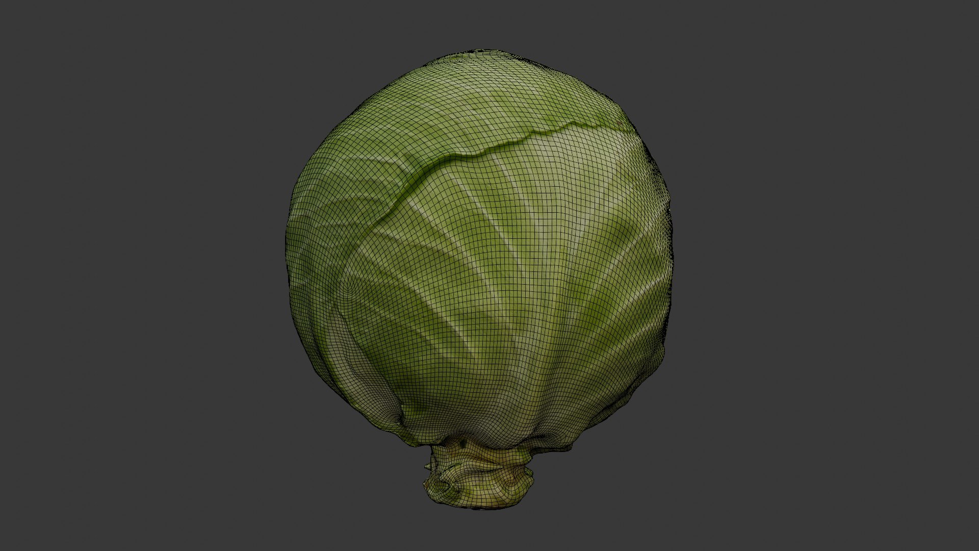 3D Model Realistic Cabbage Vegetable 3D Scan - TurboSquid 2400161