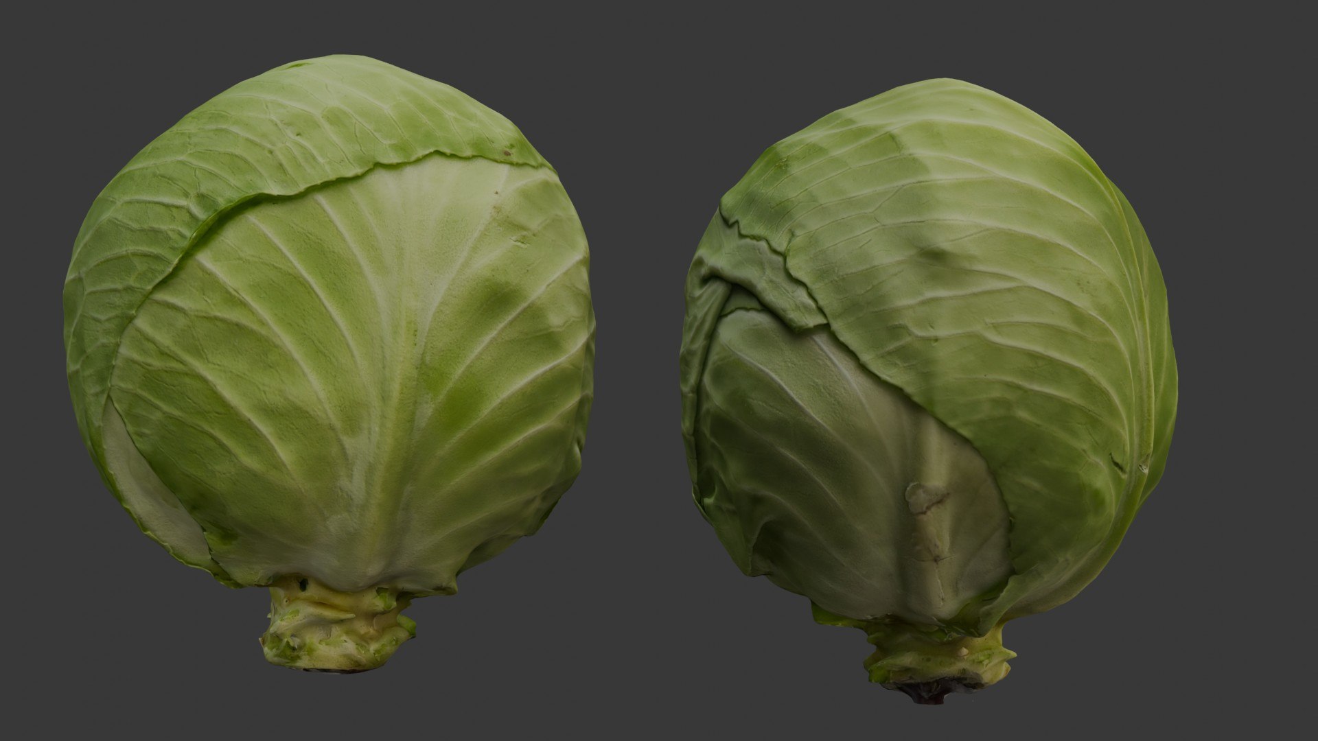 3D Model Realistic Cabbage Vegetable 3D Scan - TurboSquid 2400161
