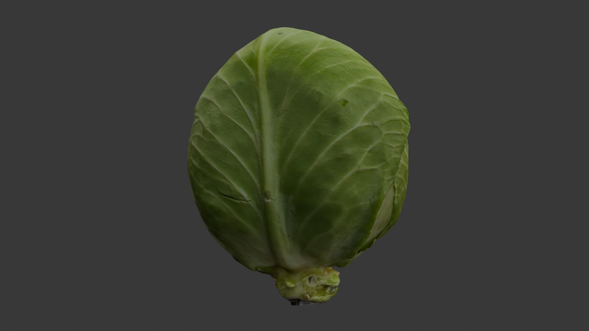 3D Model Realistic Cabbage Vegetable 3D Scan - TurboSquid 2400161