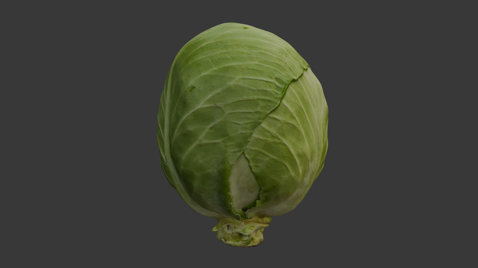 3D Model Realistic Cabbage Vegetable 3D Scan - TurboSquid 2400161