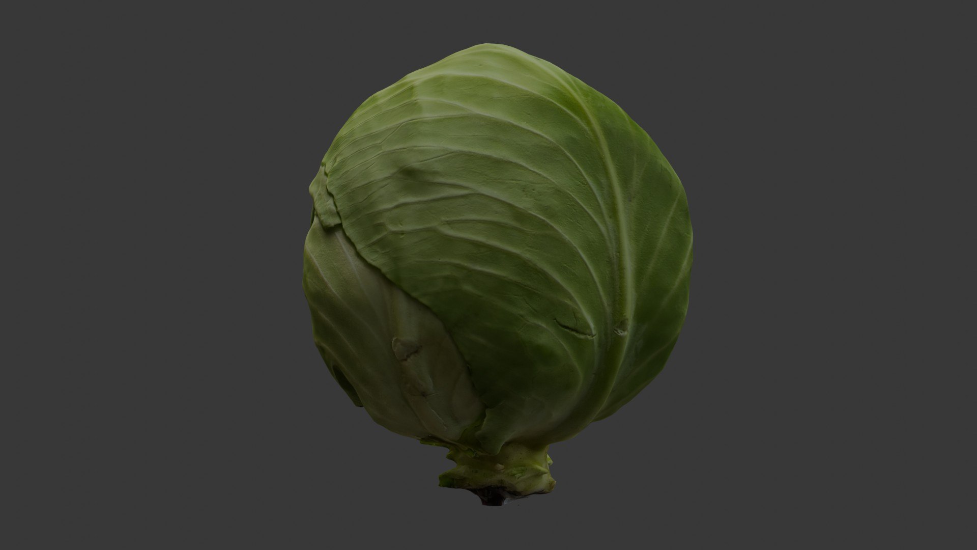 3D Model Realistic Cabbage Vegetable 3D Scan - TurboSquid 2400161