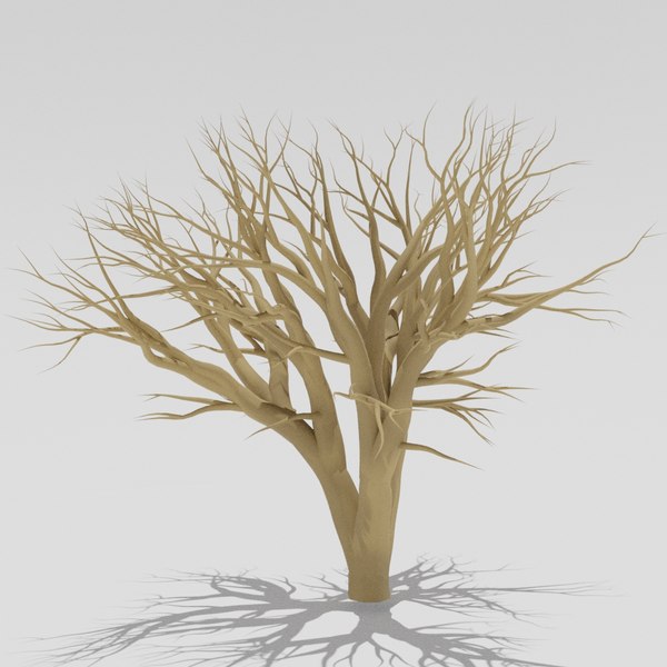 Tree 2 3D 모델 - TurboSquid 2057751