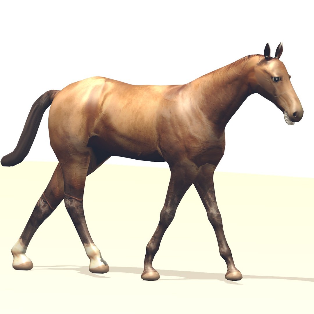 Horse 1 3d Model