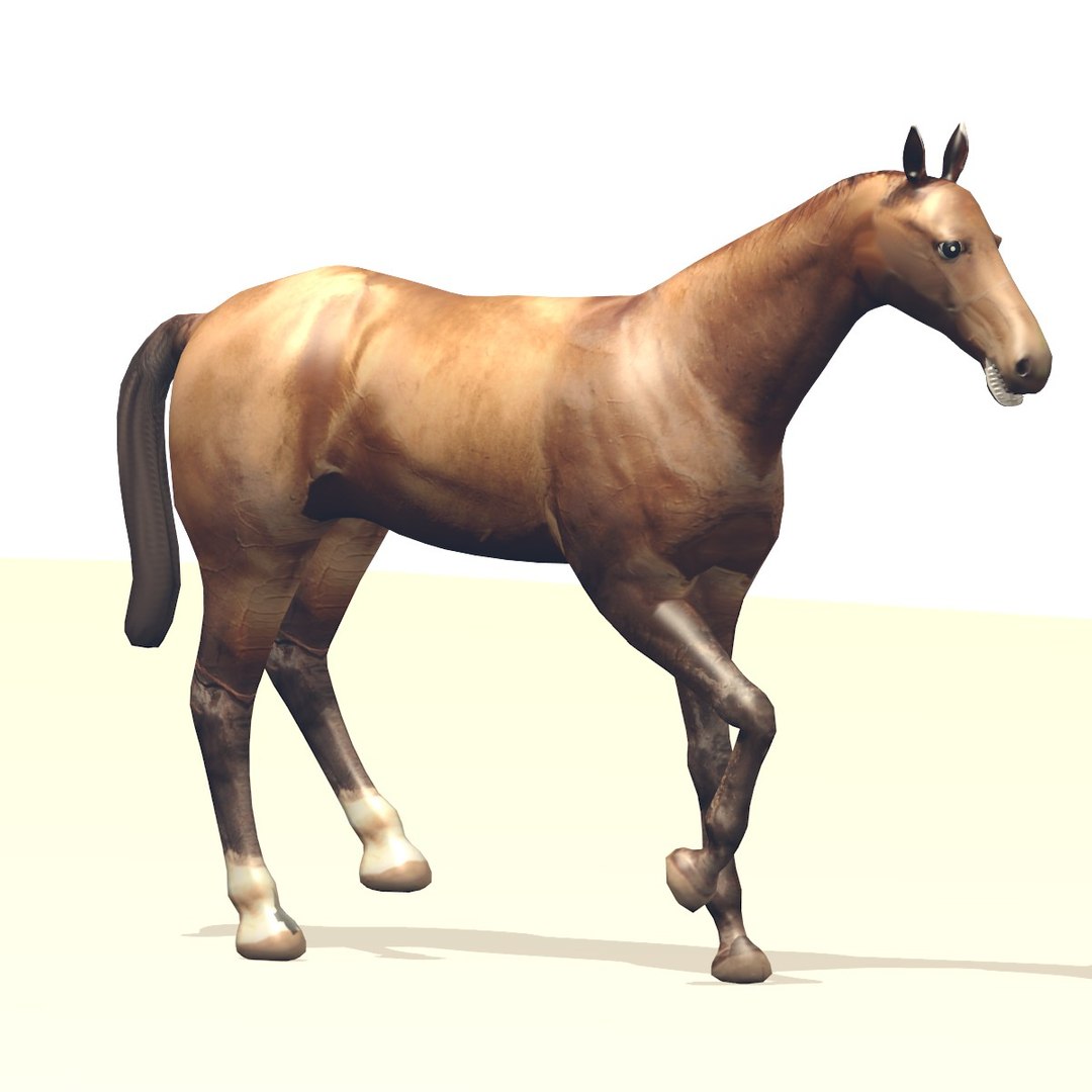 Horse 1 3d Model