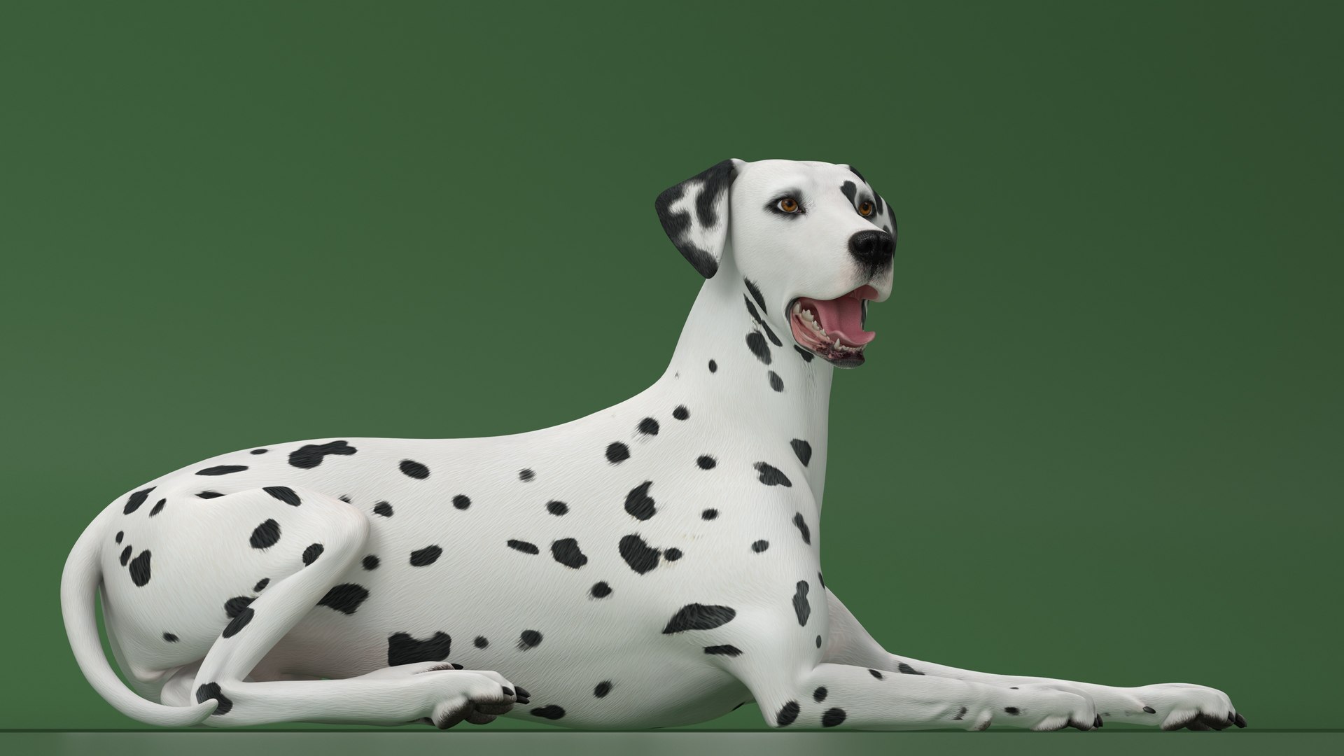 3D Lying Dalmatian Dog Model - TurboSquid 2230630