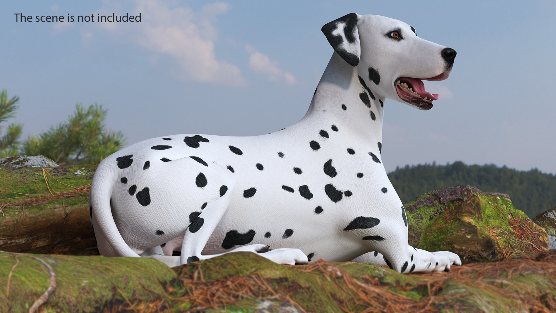 3D Lying Dalmatian Dog Model - TurboSquid 2230630
