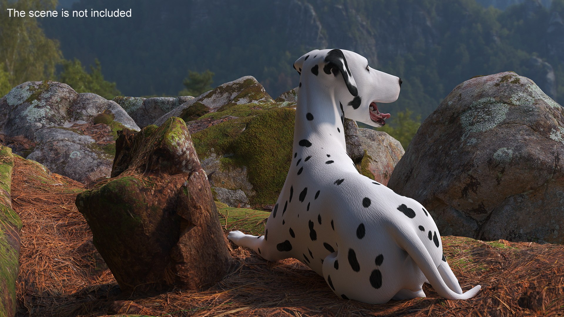 3D Lying Dalmatian Dog Model - TurboSquid 2230630