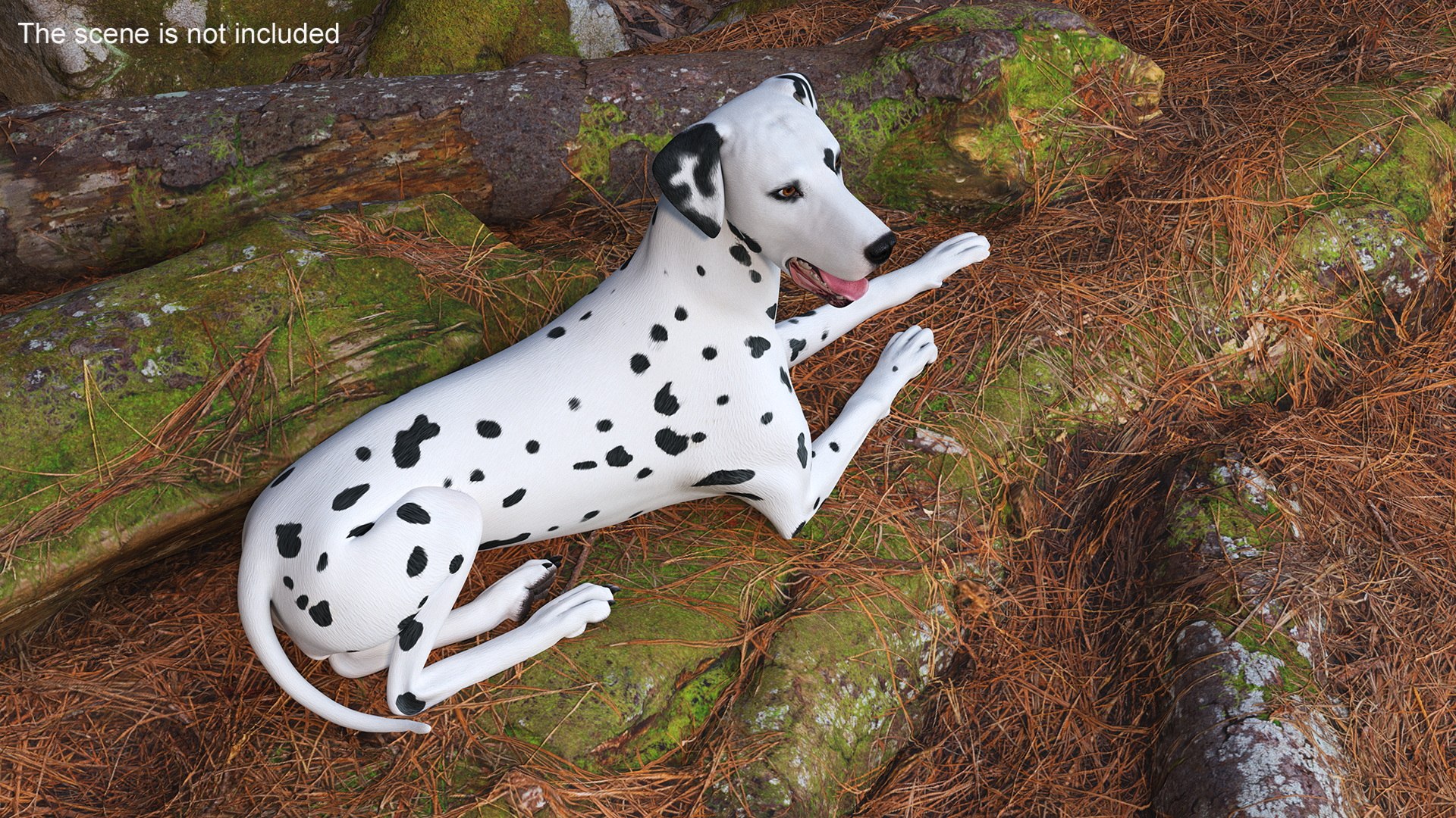 3D Lying Dalmatian Dog Model - TurboSquid 2230630