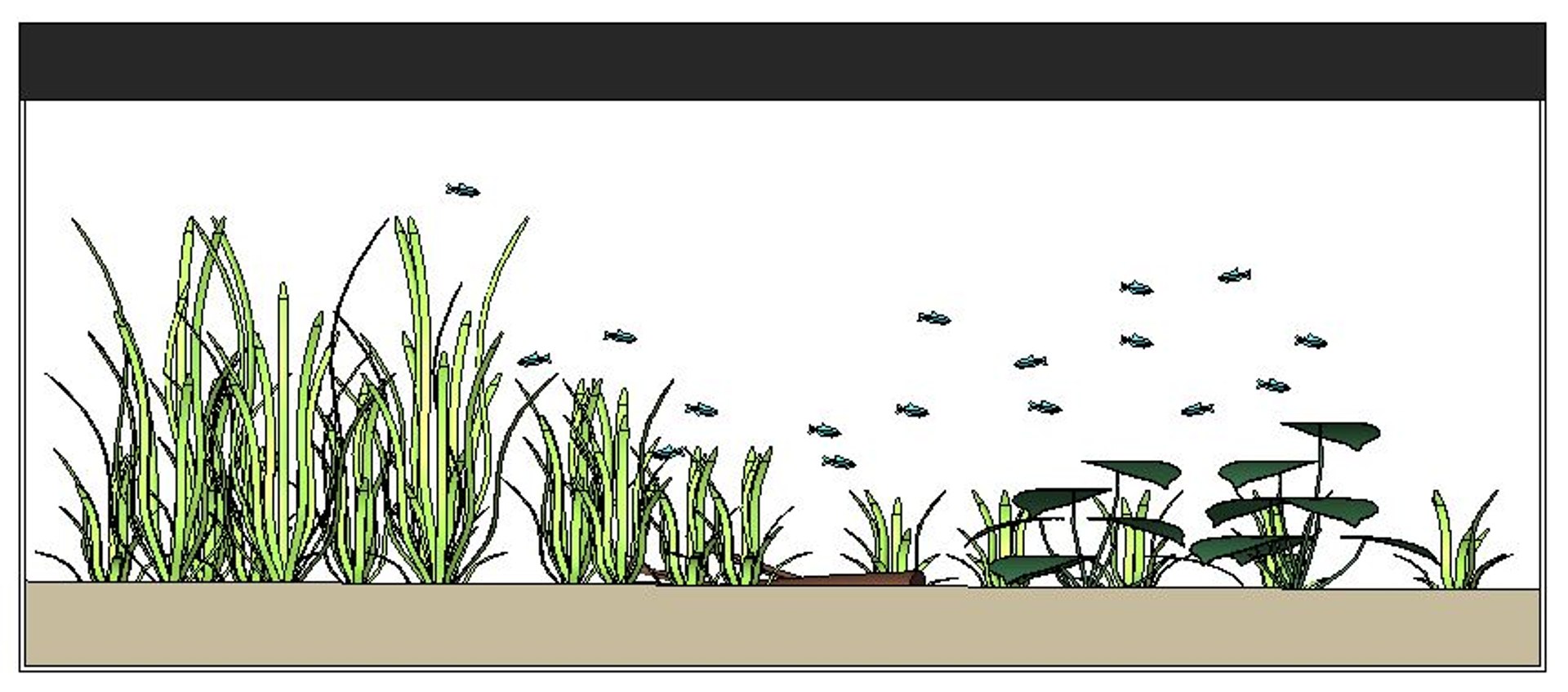 3d Fish Tank Parametric