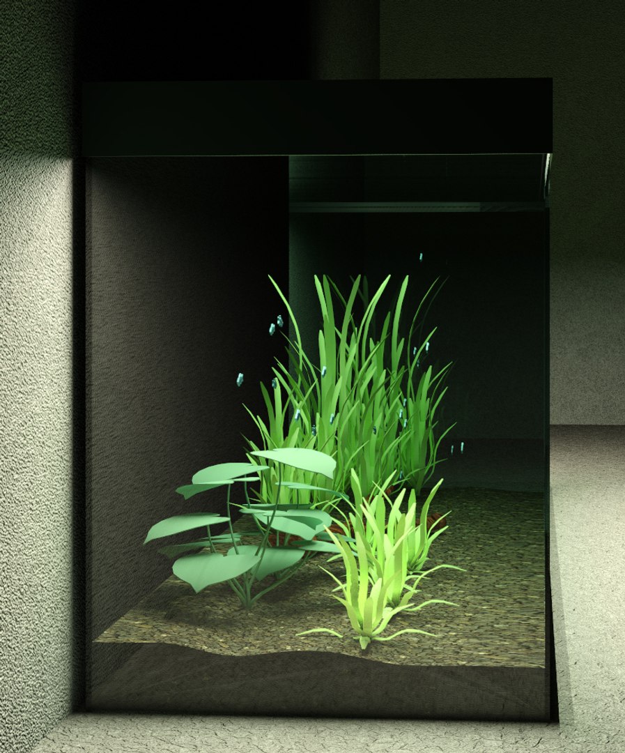 3d Fish Tank Parametric