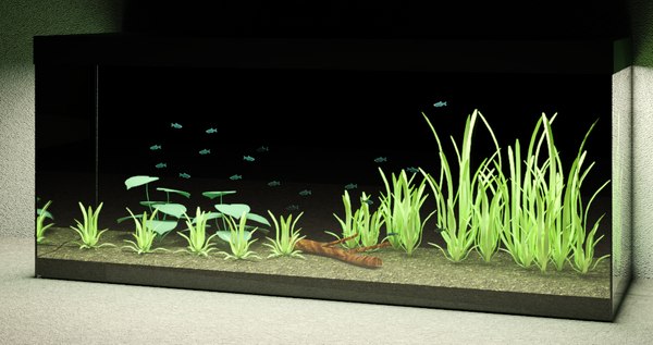 3d fish tank parametric
