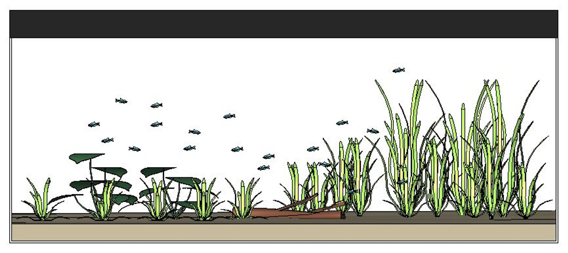3d Fish Tank Parametric