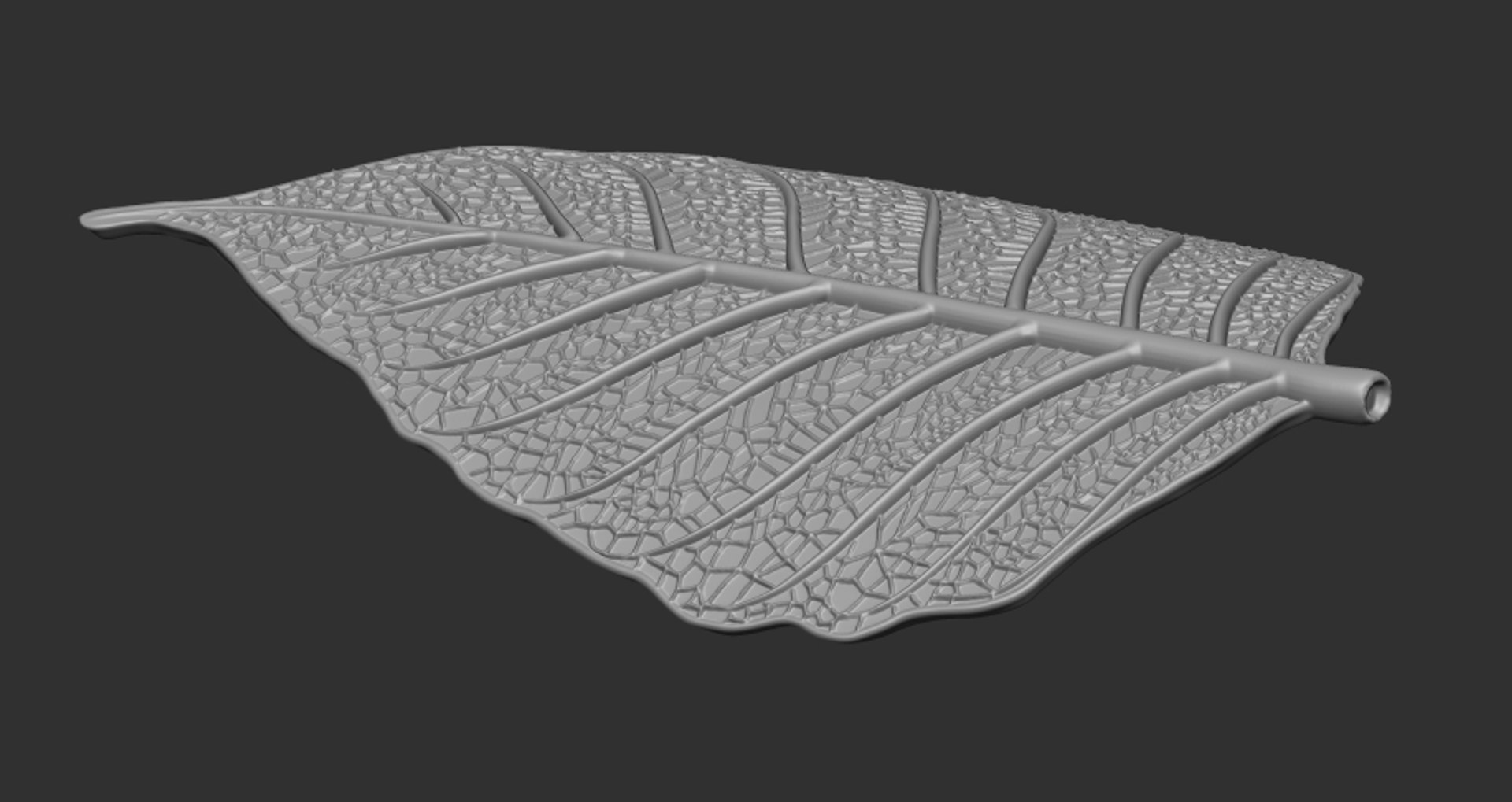 Leaf Vein 3D - TurboSquid 1660350