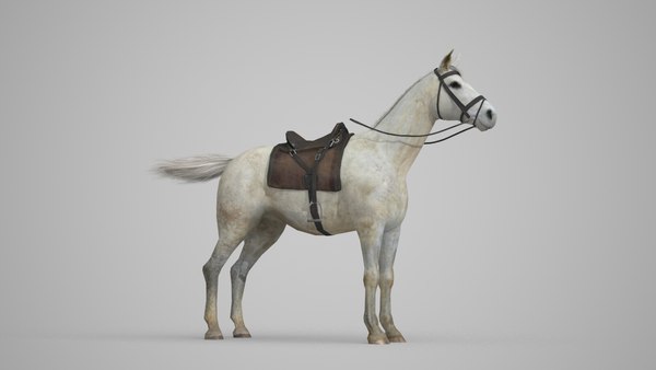 3d horse model